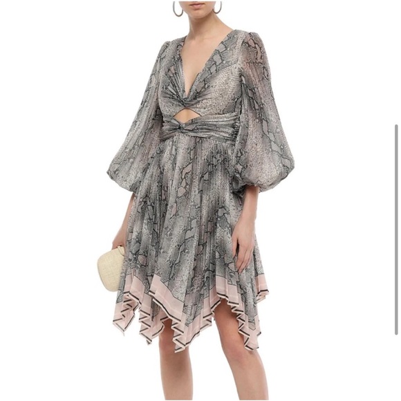Zimmermann | Dresses | Zimmerman Grey Corsage Snake Print Pleated Mini ...